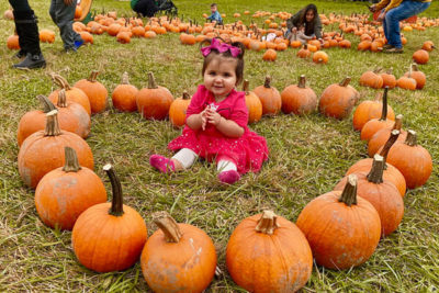 Great Pumpkin Festival - Fall Fun for All Ages | Heaven Hill Farm
