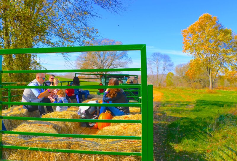 Hay Ride - heavenhillfarm